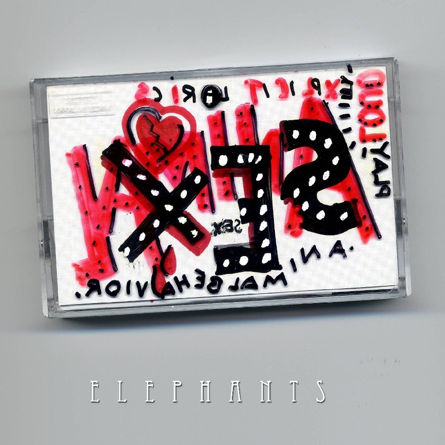 Elephants - Animal Sex | Ravenfilm